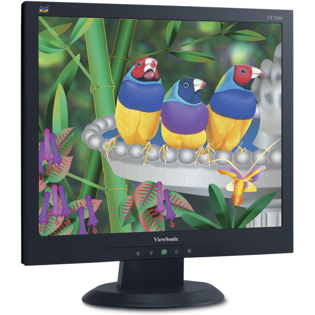 17-inch ViewSonic VA702 1280 x 1024 LCD Monitor Cinzento | Back Market